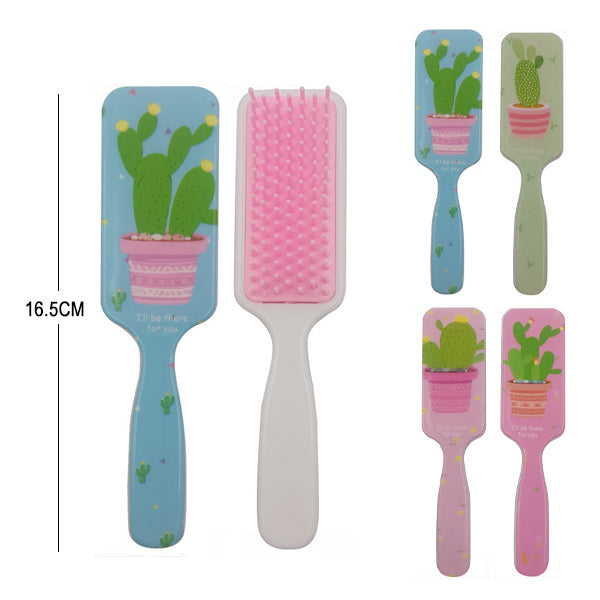 Cactus Hair Brush 2050 (12 units) – MyWholesaleFashion.com
